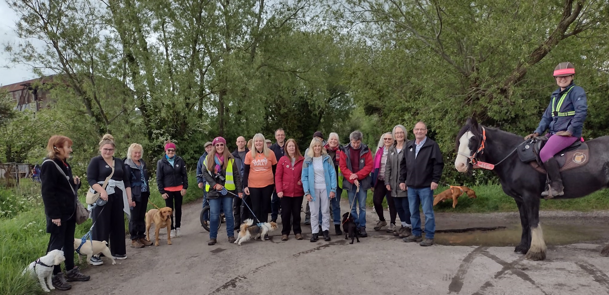 Saving Pawlett Hams, a community campaign in the spirit of David and ...